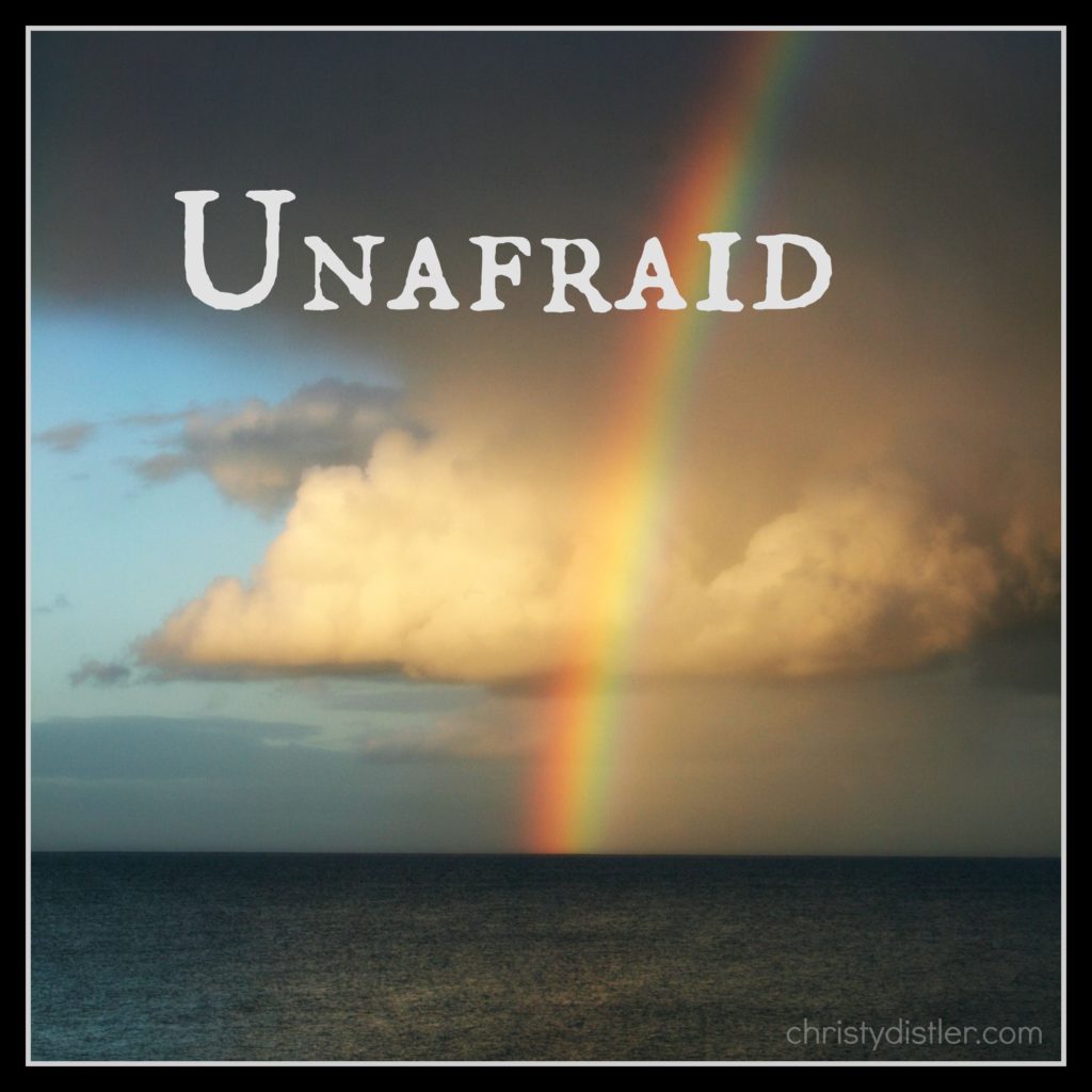 #Pic4Year 2014: Unafraid | Christy Distler